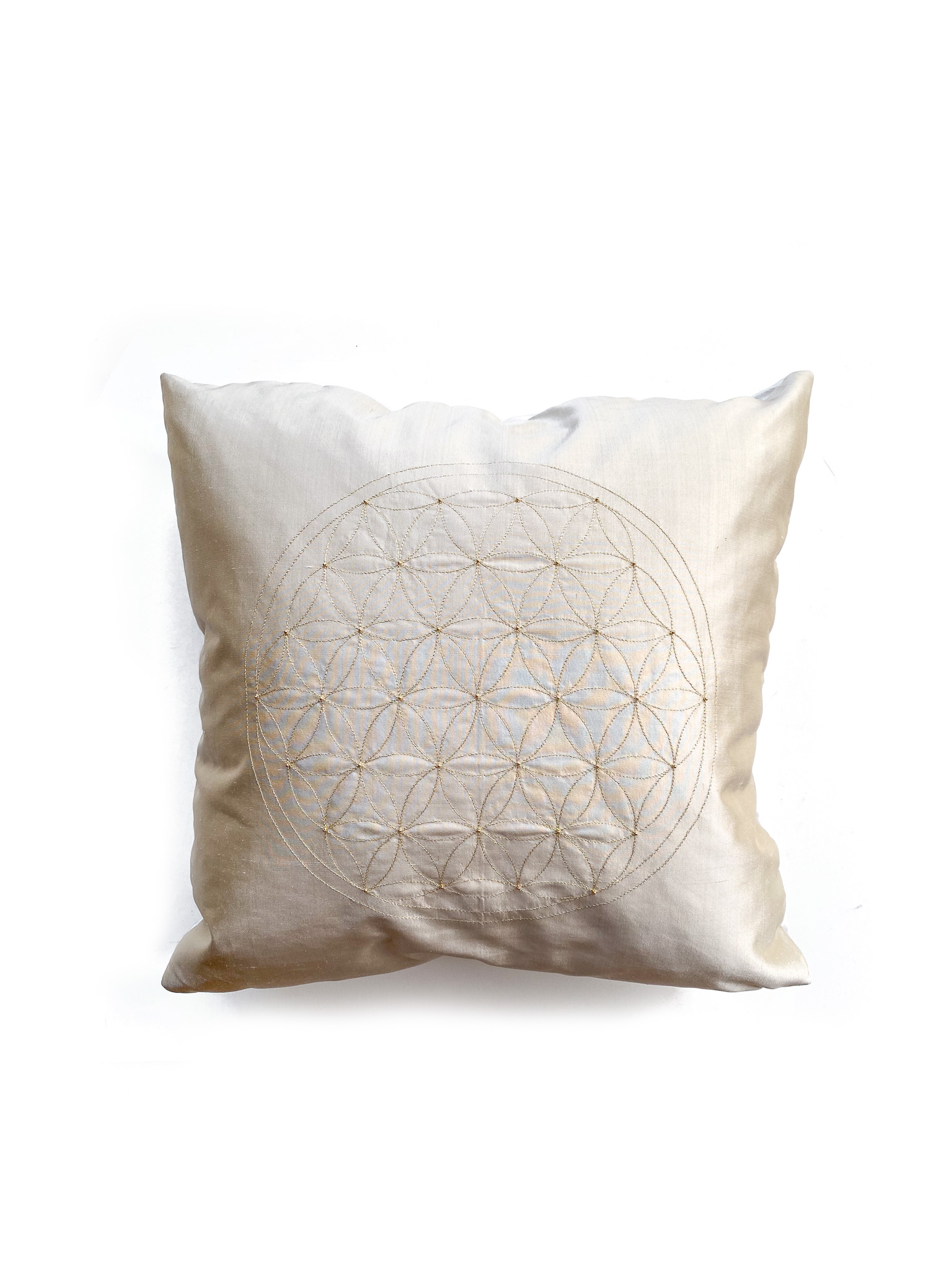 Home – LIGHT SEEDS